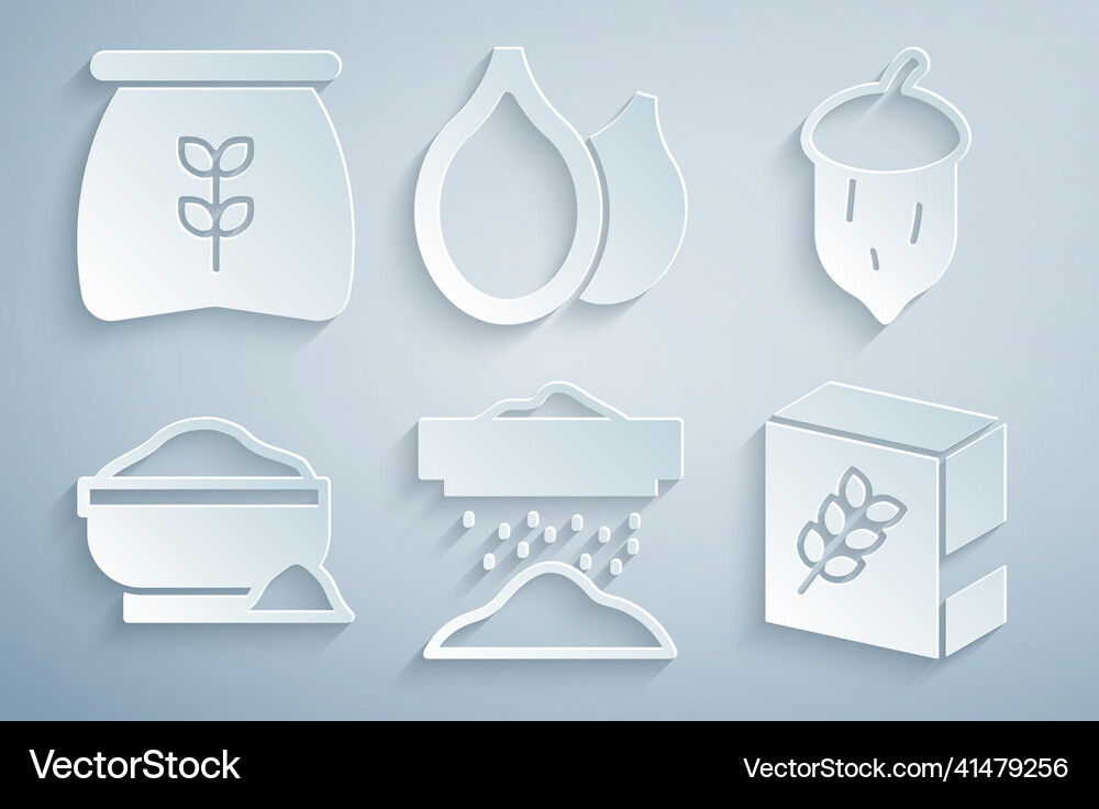 Set sifting flour acorn oak nut seed flour Vector Image