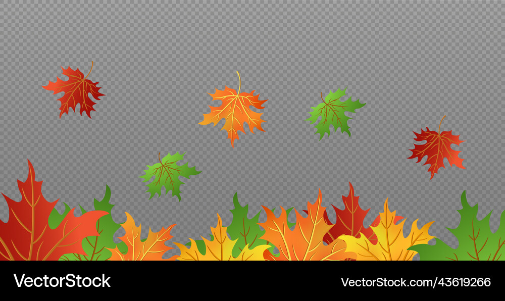 Autumn red and yellow maple leaves web template Vector Image