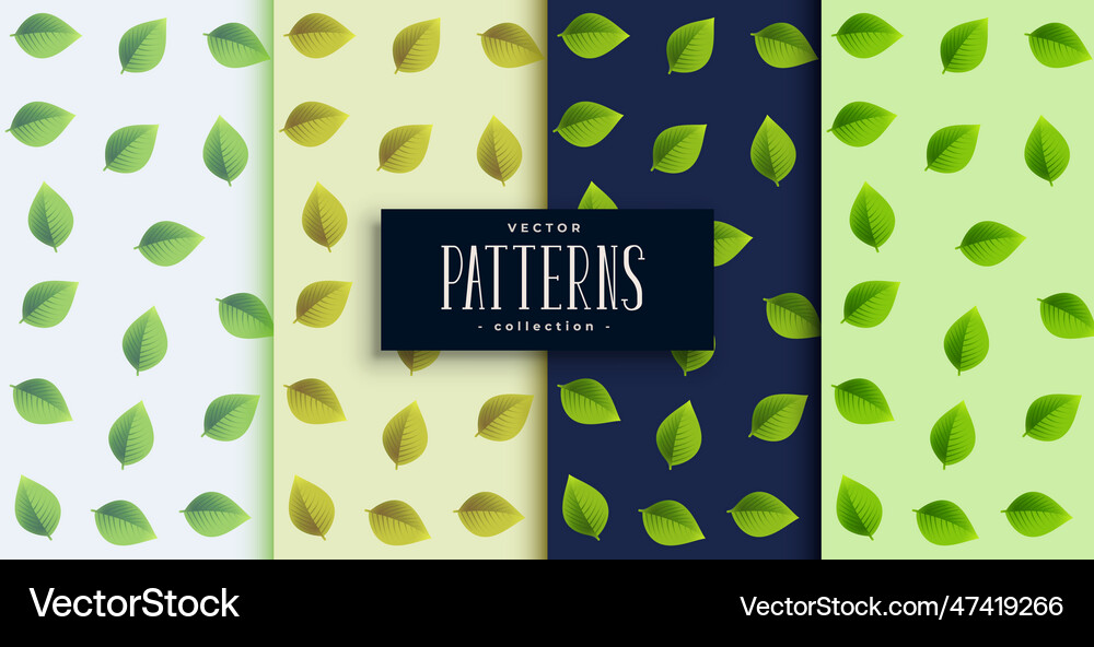 Nice set of green leaves pattern in various Vector Image