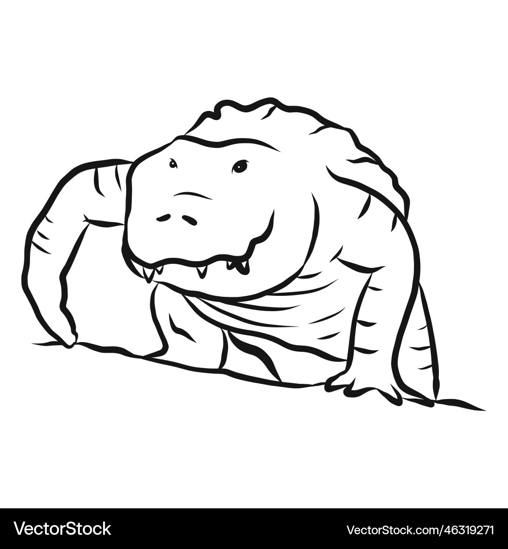 Alligator crocodile fang sketch Royalty Free Vector Image