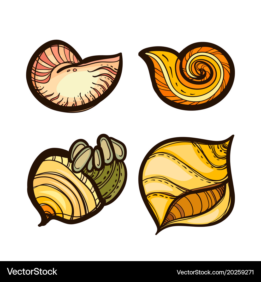 Collection of various seashells isolated on white Vector Image