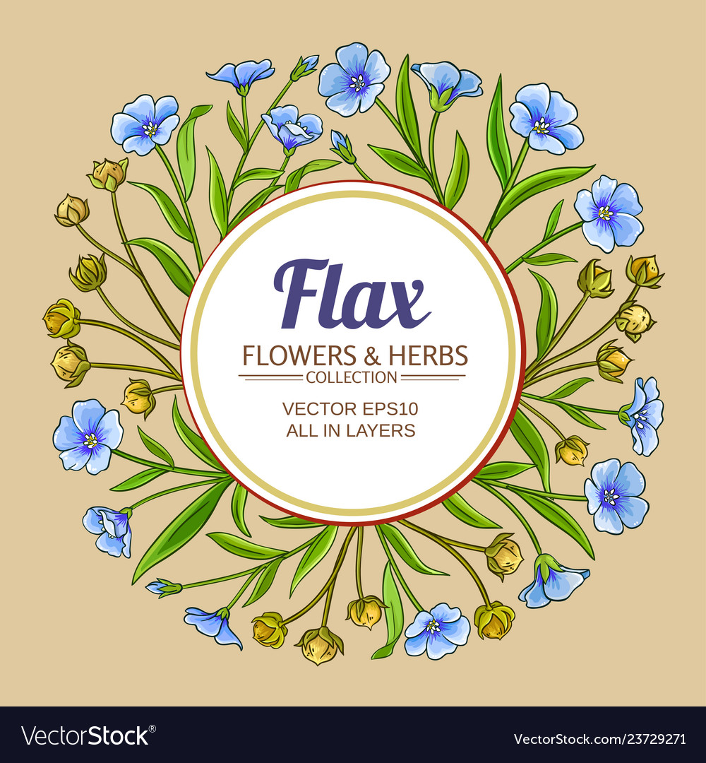 Flax frame Royalty Free Vector Image - VectorStock