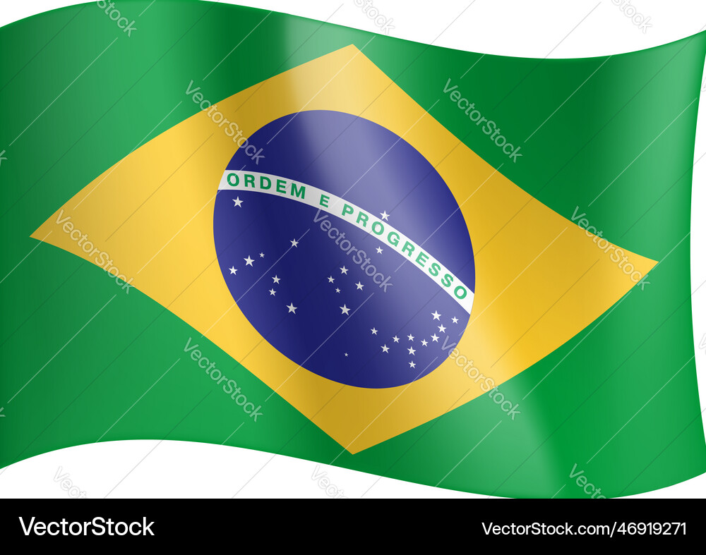 Immunization icon of brazil Royalty Free Vector Image