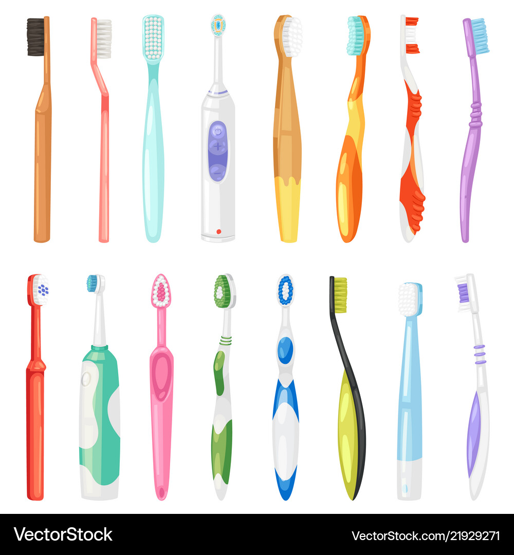Toothbrushe dental hygiene tooth brush Royalty Free Vector