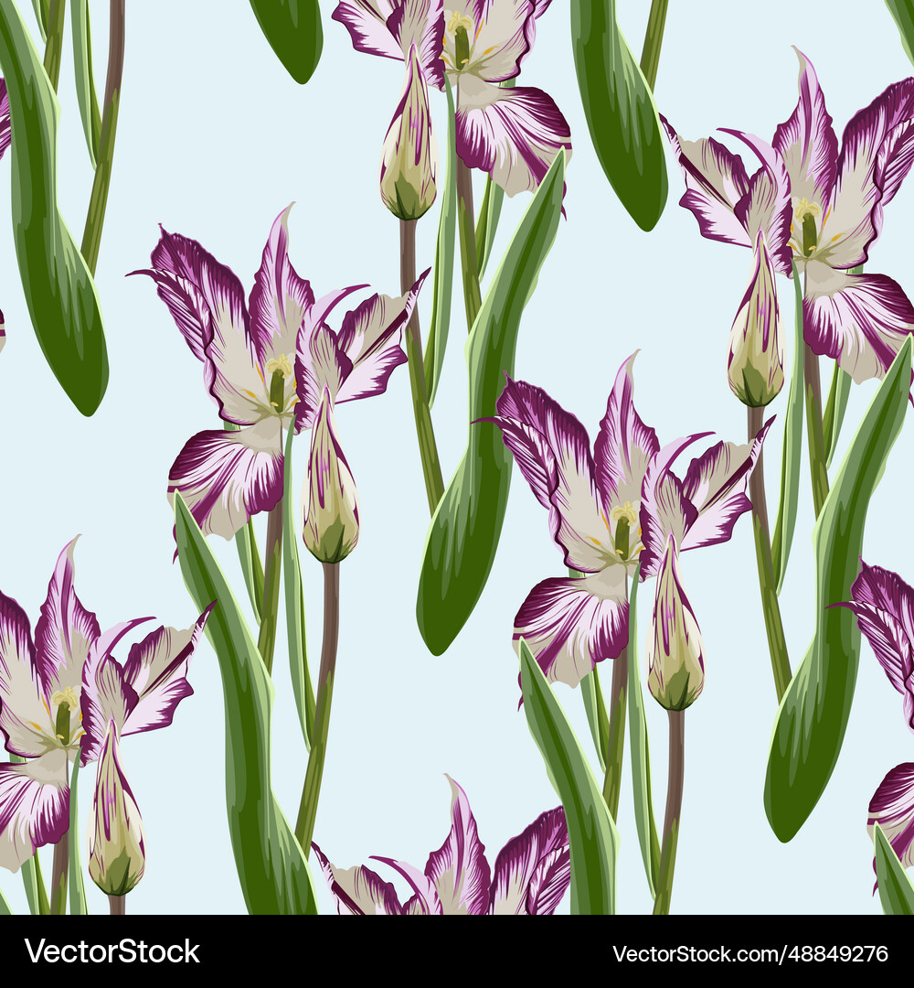 Beauty tulips flowers and buds seamless pattern Vector Image