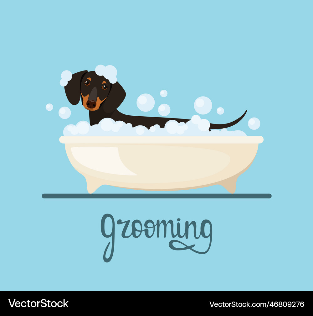 Grooming Royalty Free Vector Image - VectorStock