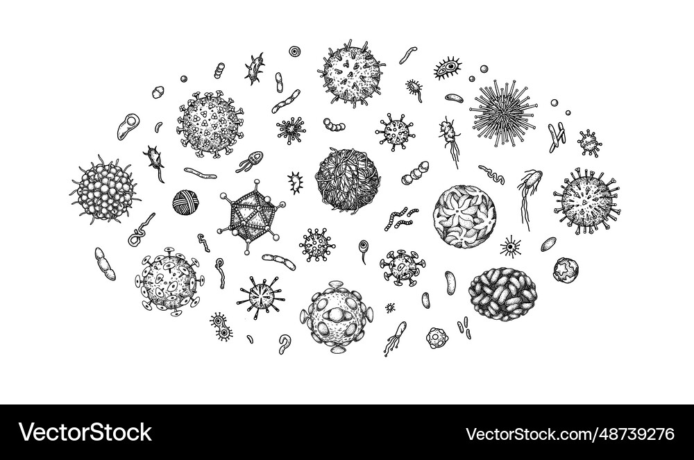 Set of engraved viruses and bacteria isolated Vector Image