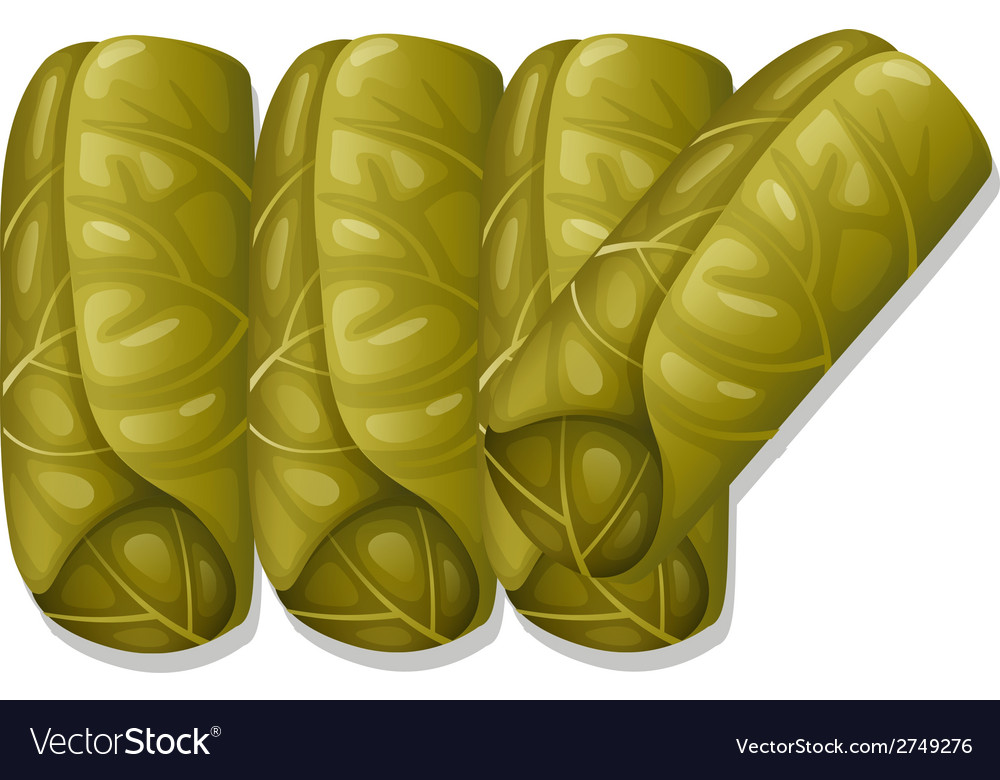 Vegetable wrap Royalty Free Vector Image - VectorStock