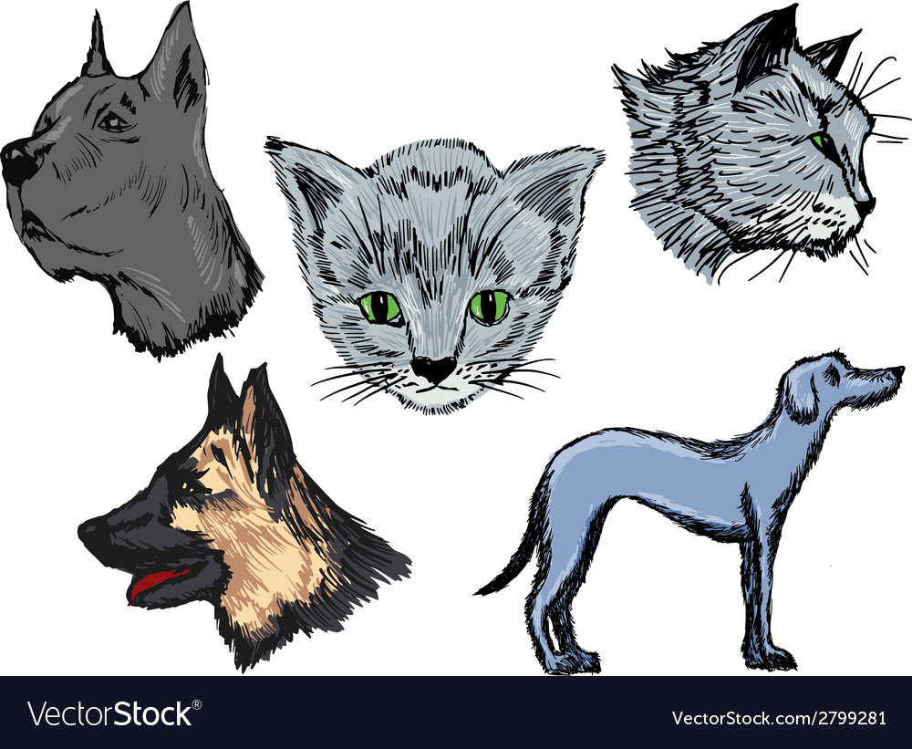 Pets Royalty Free Vector Image - VectorStock