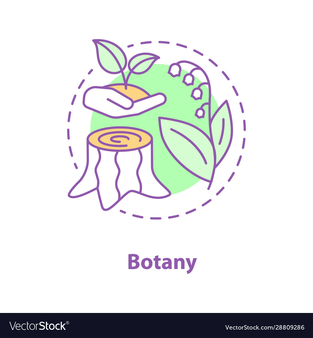 Botany concept icon Royalty Free Vector Image - VectorStock