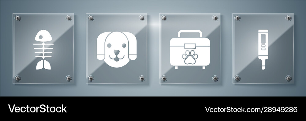 Set medical digital thermometer pet first aid kit Vector Image