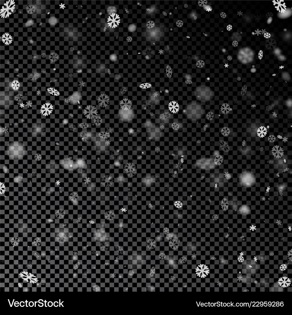 Transparent card with snowflakes for winter Vector Image