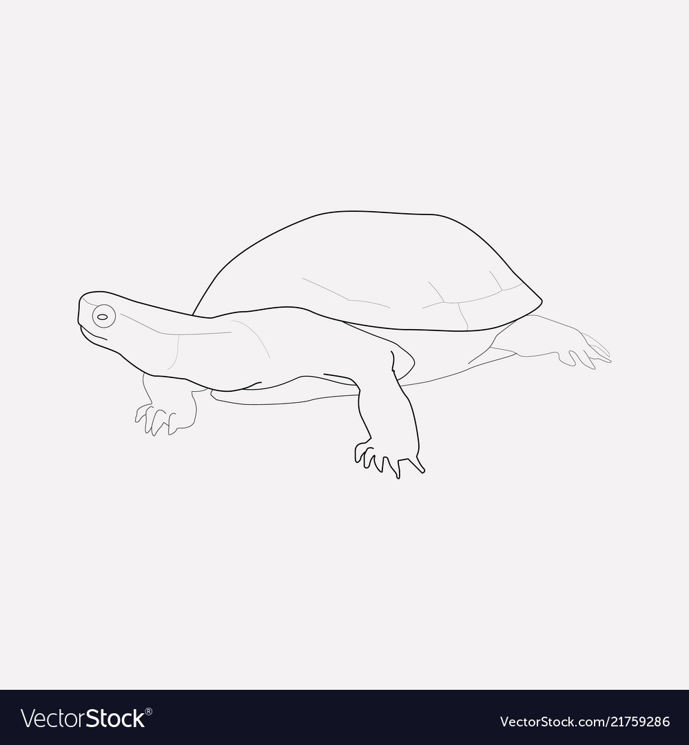 Turtle icon line element Royalty Free Vector Image