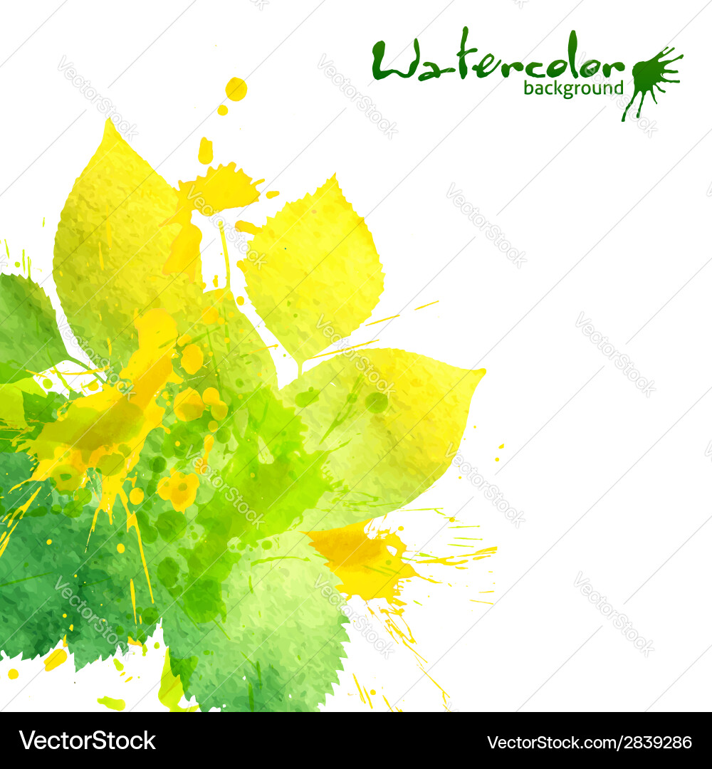 Watercolor texture and splashes green leaves Vector Image