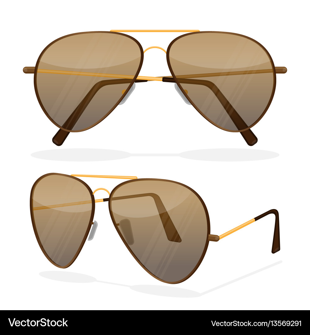 Aviator sunglasses isolated on white dark brown Vector Image