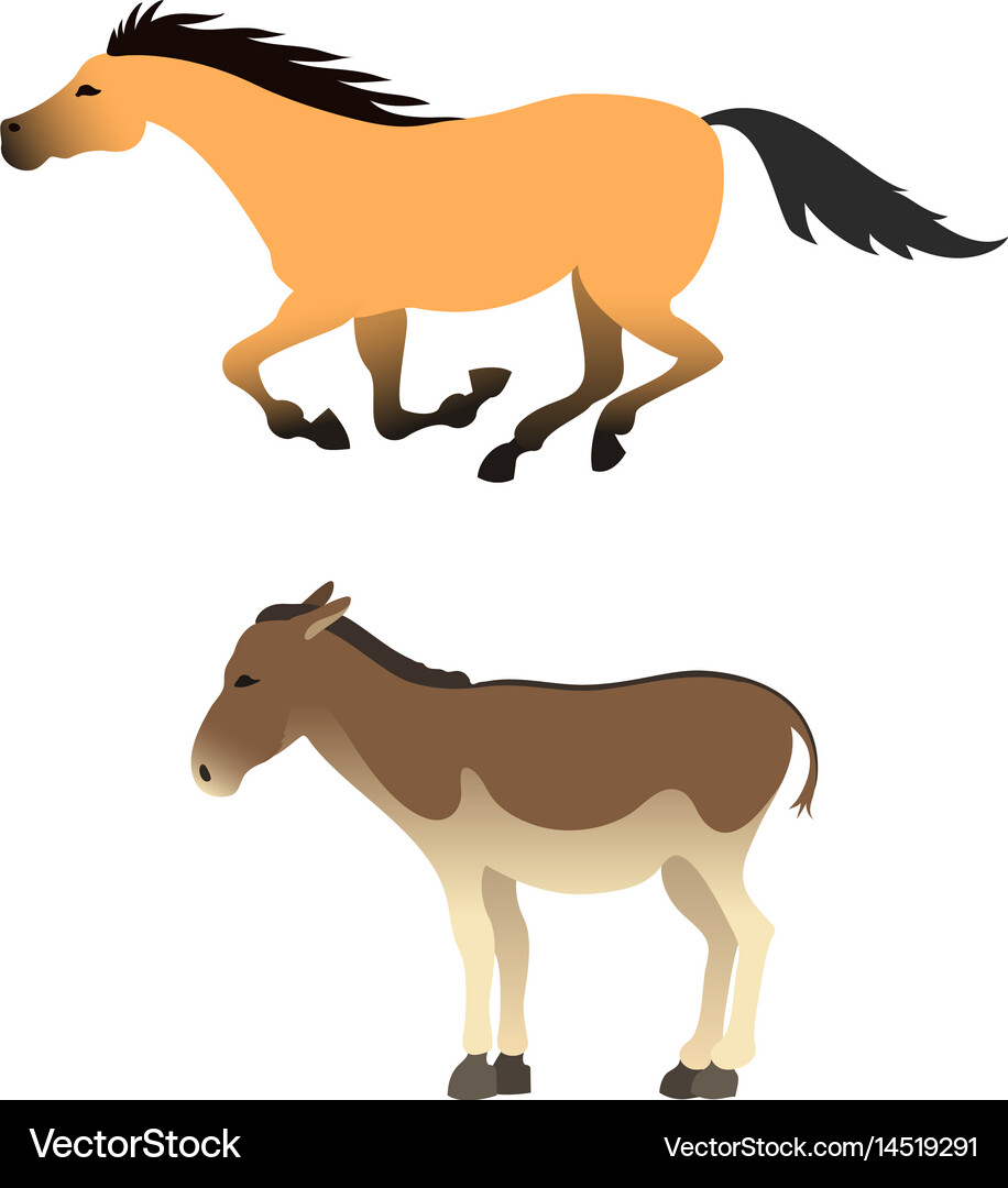 Horse pony stallion isolated different breeds Vector Image