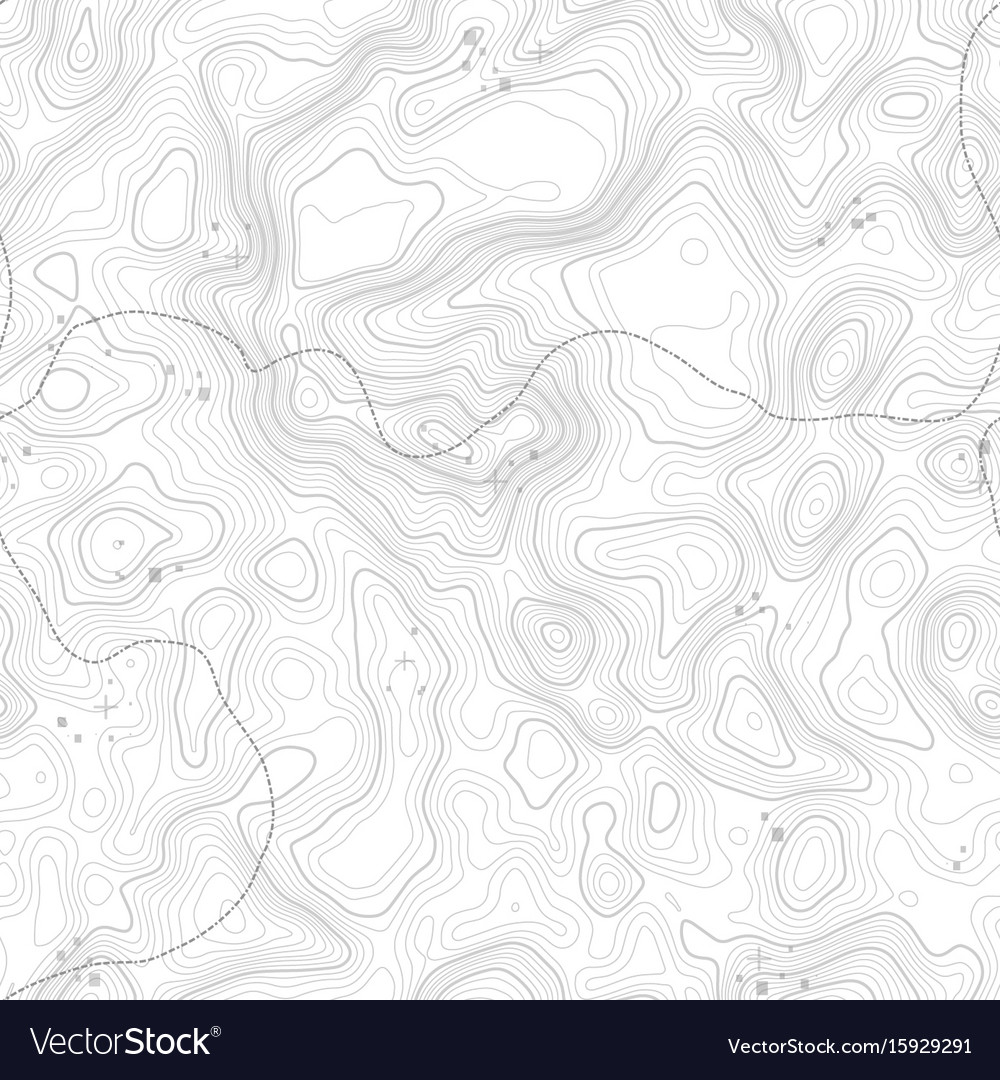Seamless pattern topographic map background Vector Image