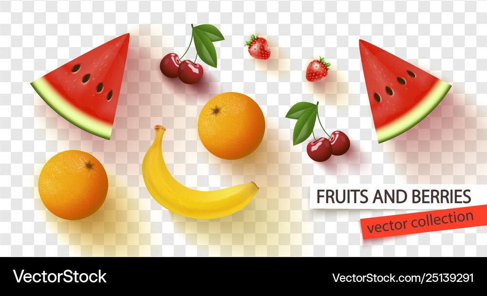 Set realistic fruits and berries with shadow Vector Image