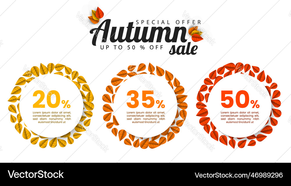 Autumn sale infographic design template with fall Vector Image