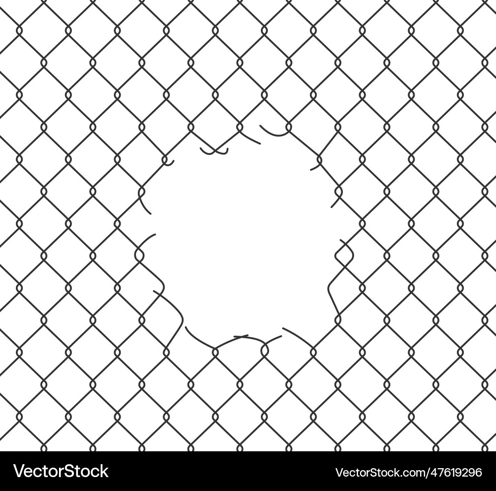 Broken wire mesh fence rabitz or chain link fence Vector Image