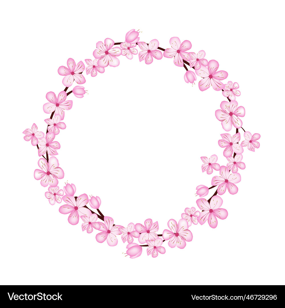 Sakura cherry blossom circle wreath flower design Vector Image