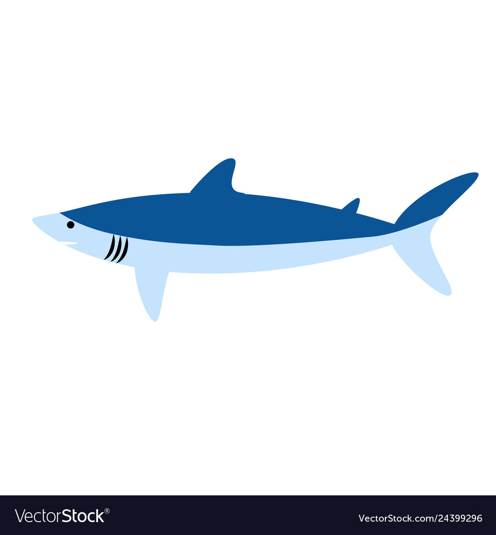 Shark flat Royalty Free Vector Image - VectorStock