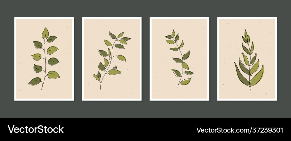 Botanical wall art set minimal and natural Vector Image
