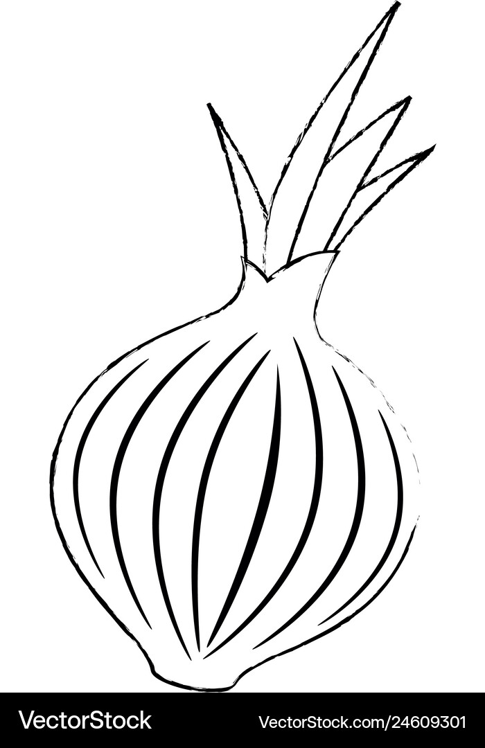Fresh onion vegetarian food Royalty Free Vector Image
