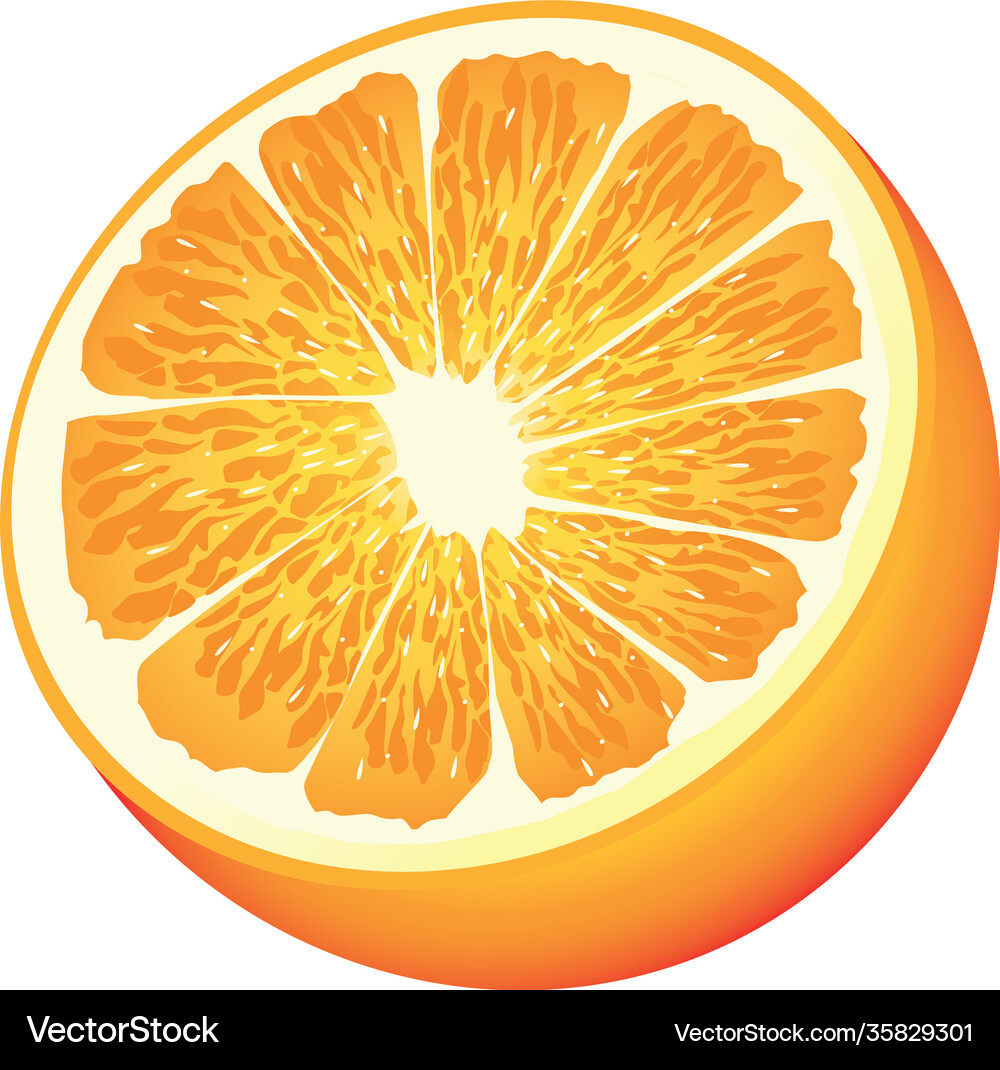 Orange citrus fruit half icon Royalty Free Vector Image