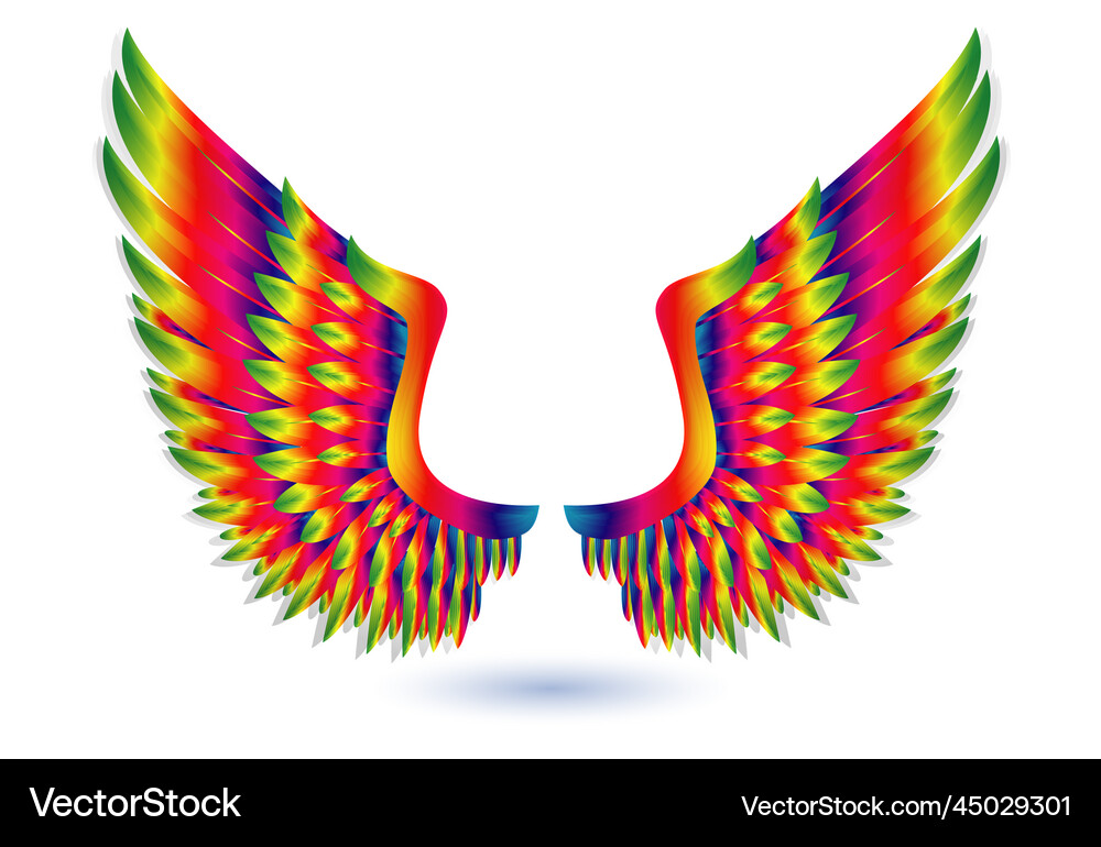 Realistic fantasy colorful angle wings isolated Vector Image