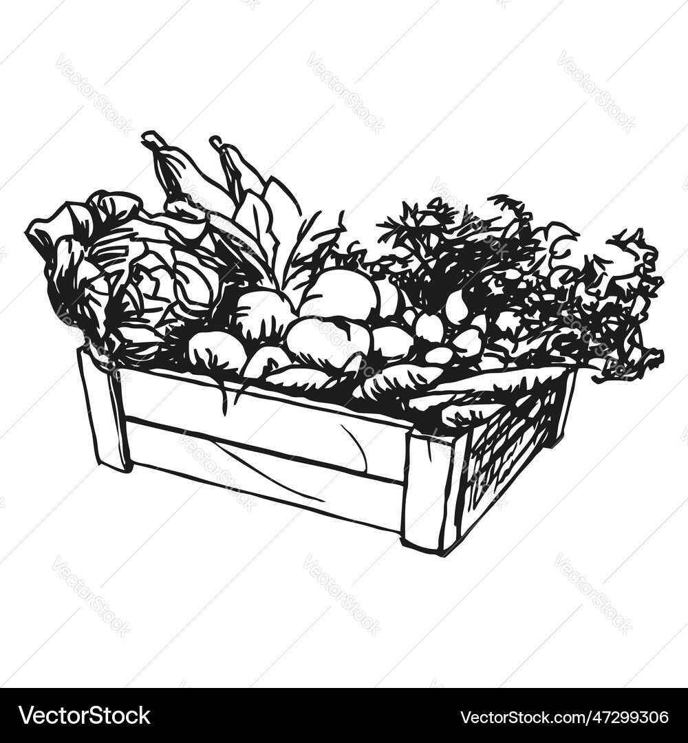 Vegetable box - wooden with vegetables black Vector Image
