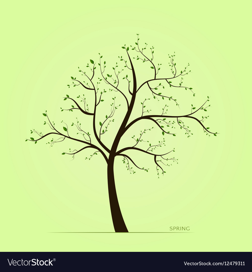 Spring tree with leaves Royalty Free Vector Image