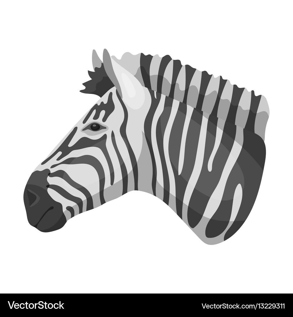 Zebra icon in monochrome style isolated on white Vector Image