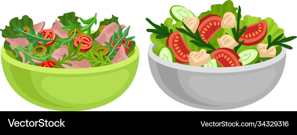Fresh salads in bowl with mixed ingredients Vector Image