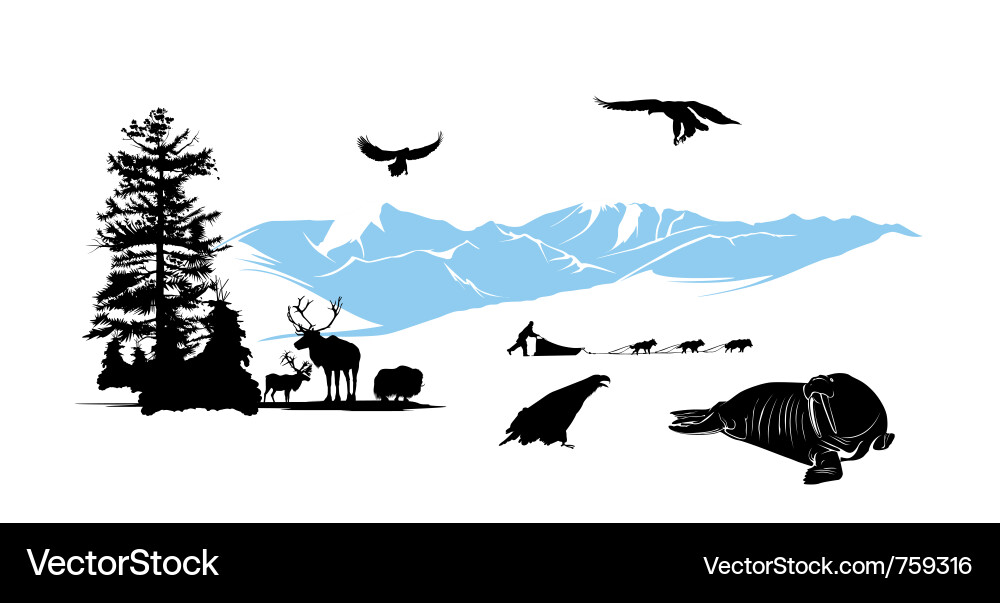 Reservation with winter animals on the snow mounta
