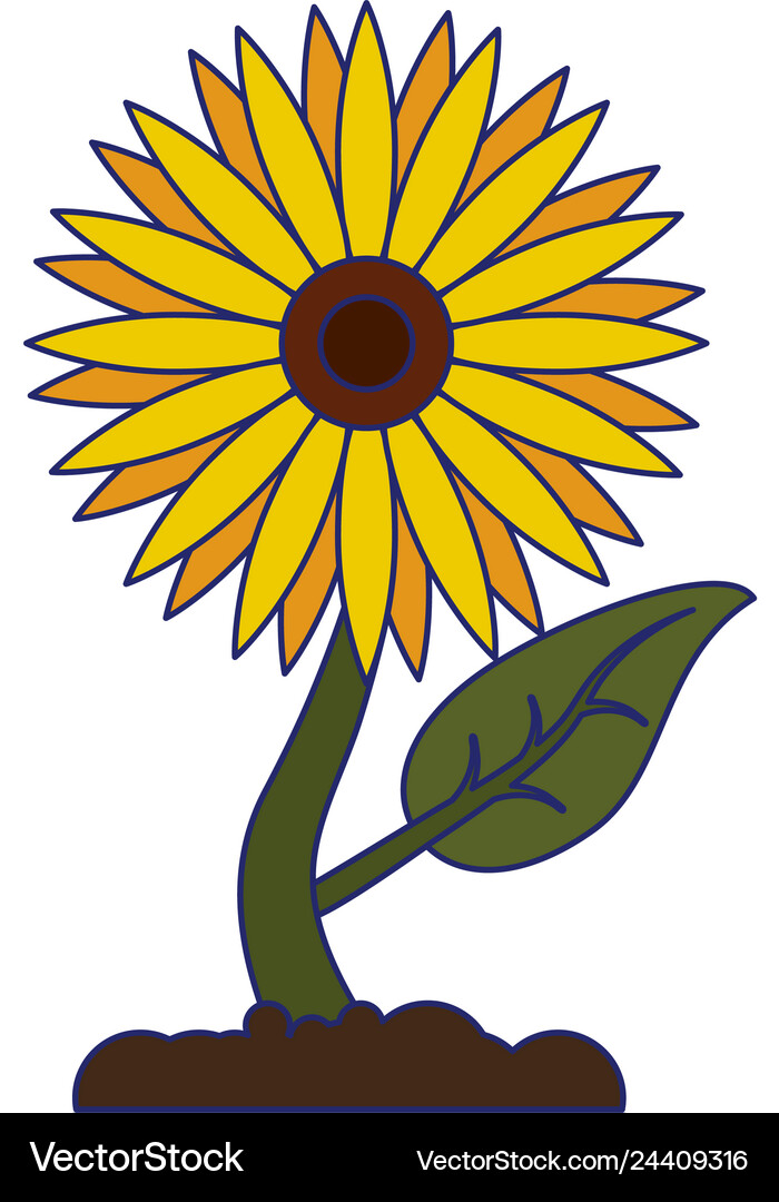 Sunflower plant cartoon isolated Royalty Free Vector Image