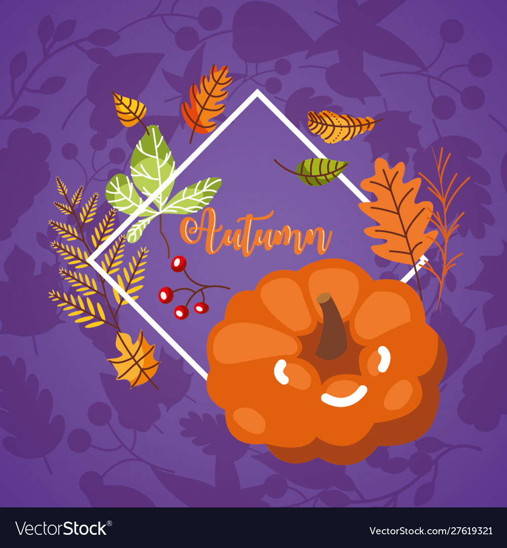 Autumn season pumpkin and leafs icons Royalty Free Vector