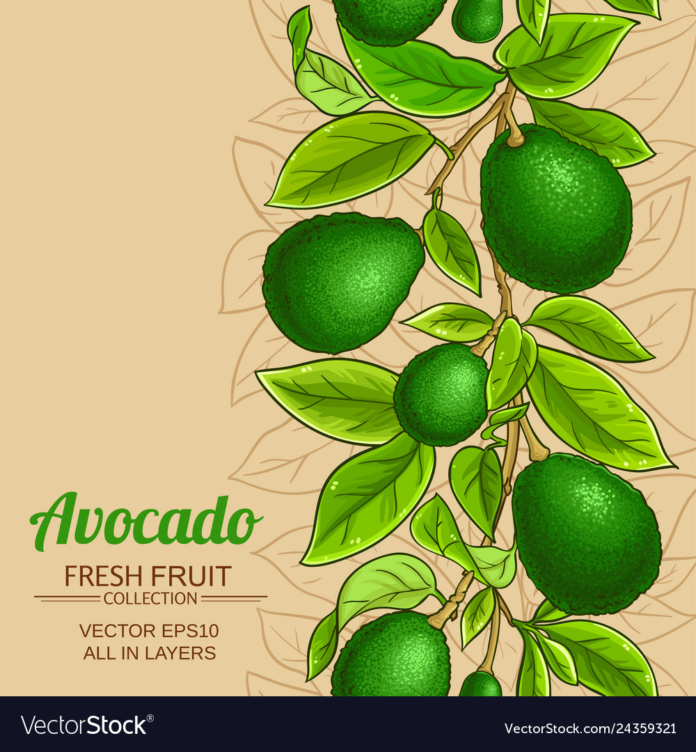 Avocado branches pattern Royalty Free Vector Image