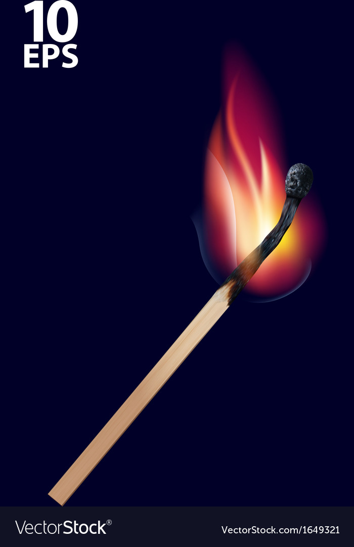 Burning match Royalty Free Vector Image - VectorStock