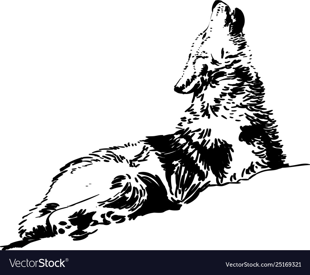 Howling wolf Royalty Free Vector Image - VectorStock