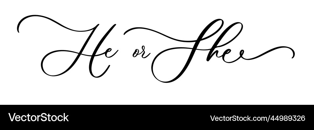 He or she calligraphy postcard for the holiday Vector Image