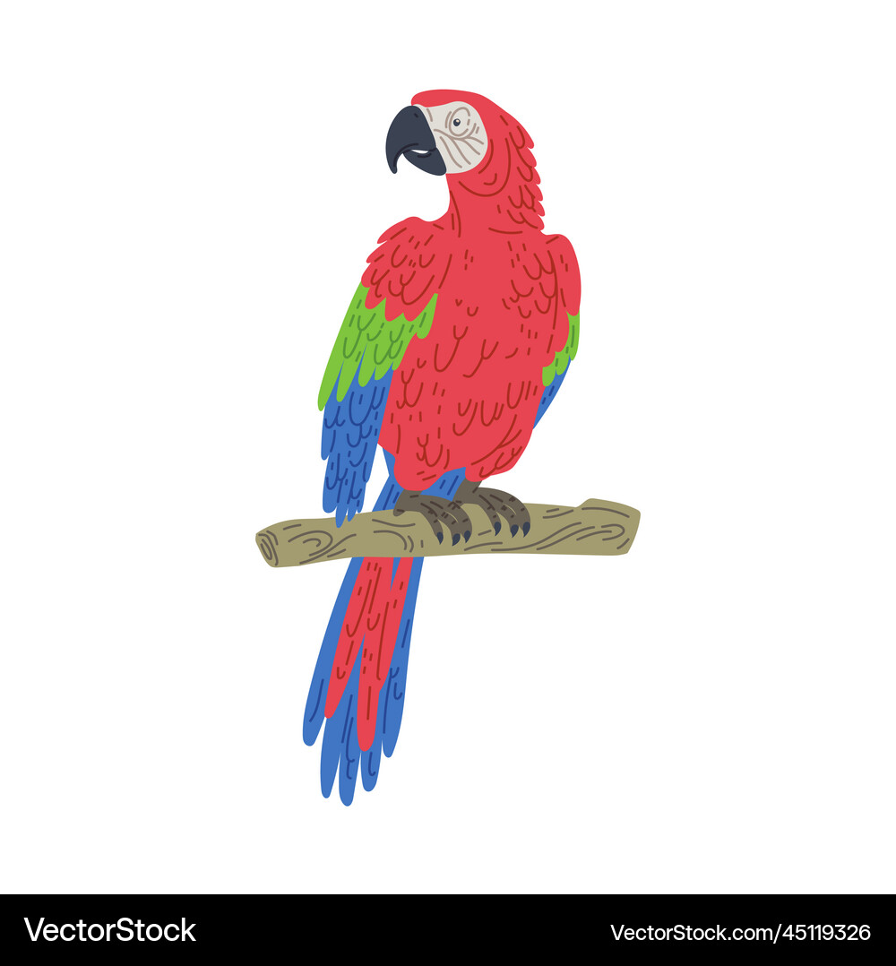 Tropical ara parrot with red plumage flat Vector Image