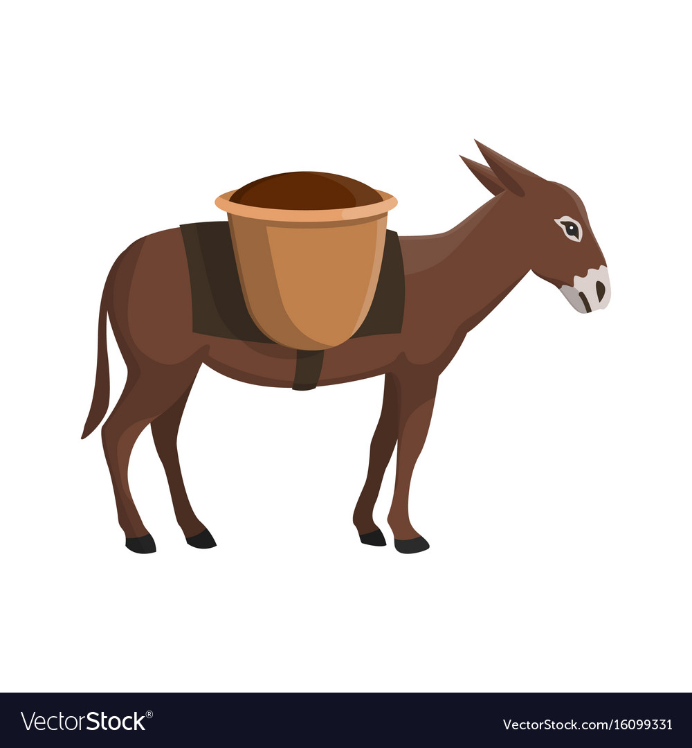 A donkey Royalty Free Vector Image - VectorStock