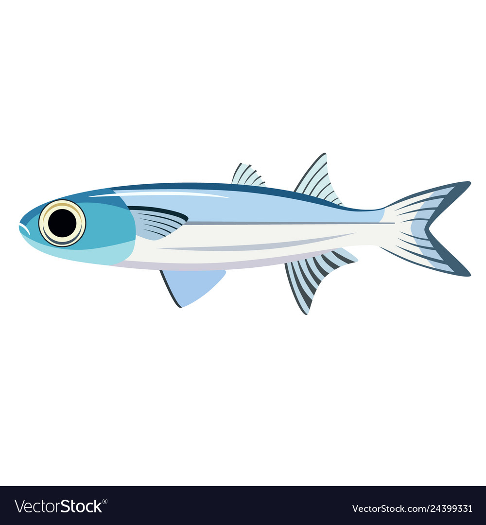 Fish flat Royalty Free Vector Image - VectorStock