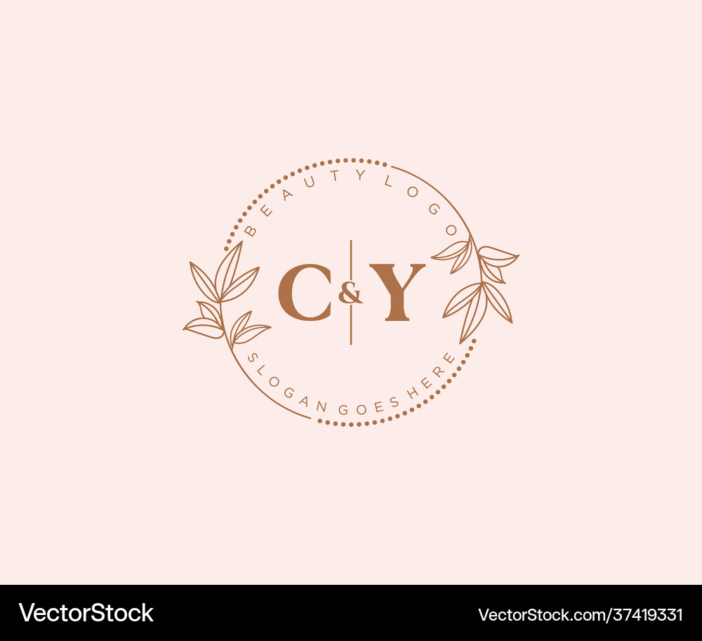 Initial cy letters beautiful floral feminine Vector Image