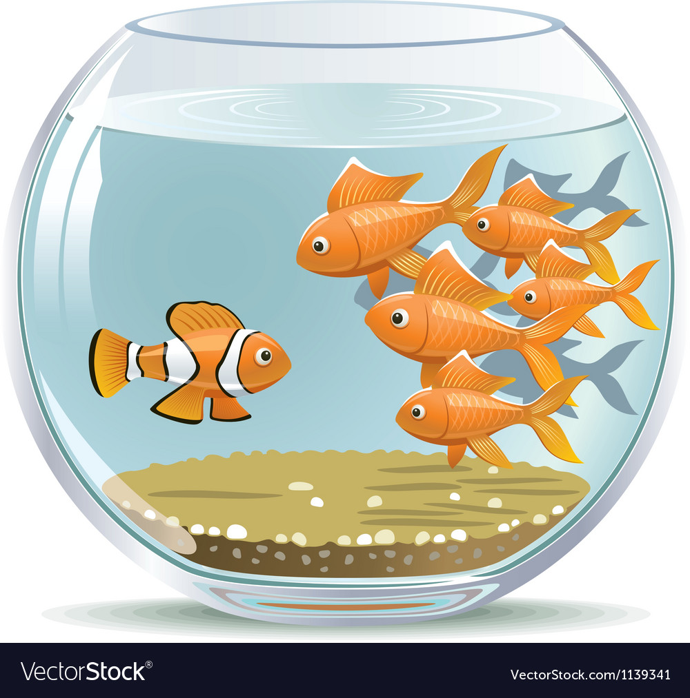 Newcomer Royalty Free Vector Image - VectorStock