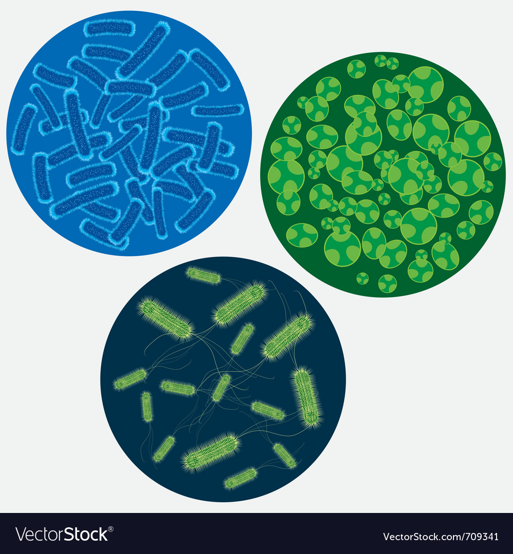 Viruses Royalty Free Vector Image - VectorStock