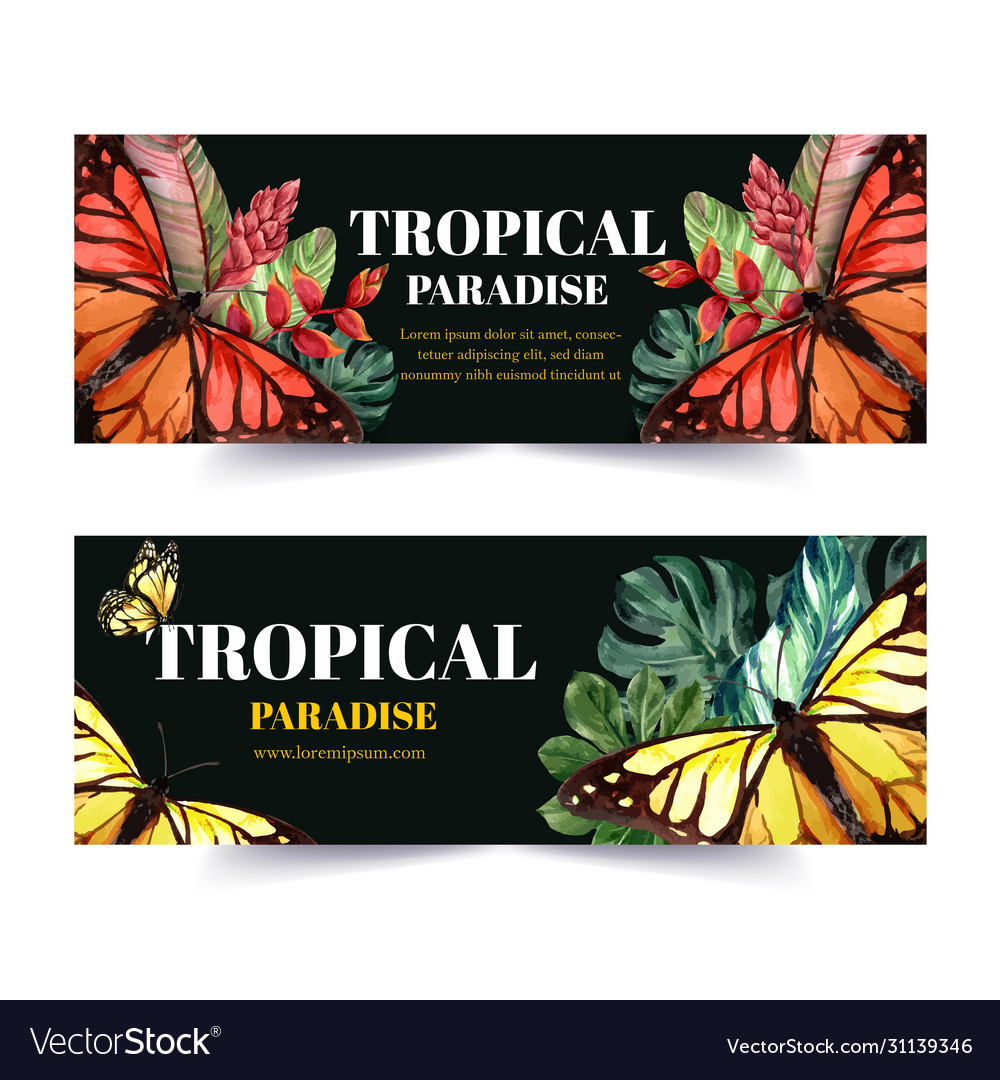 Banner design with butterfly and tropical plants Vector Image
