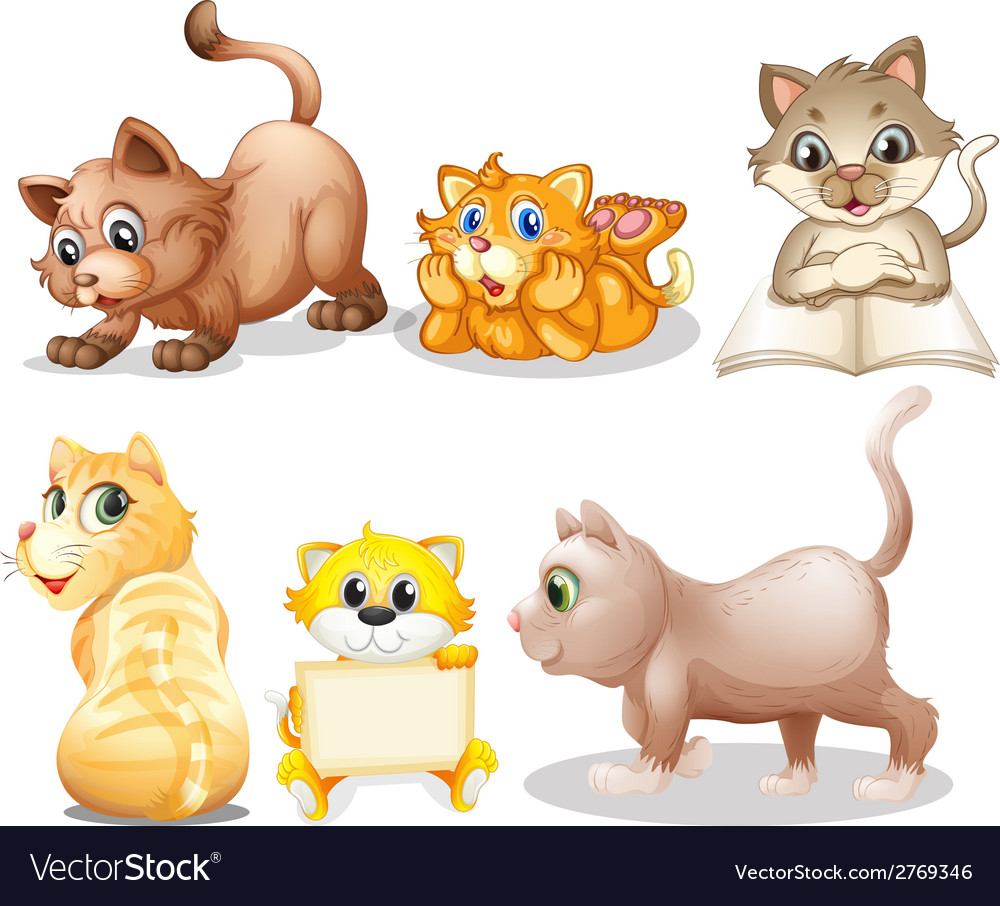 Cat set Royalty Free Vector Image - VectorStock