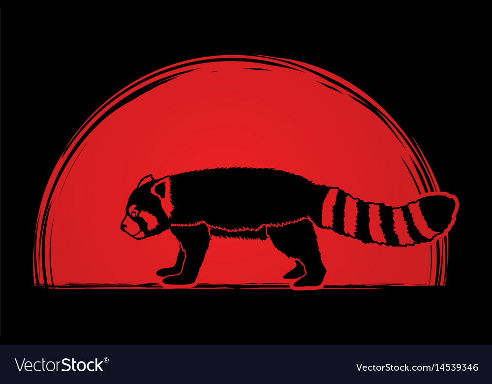Red panda side view Royalty Free Vector Image - VectorStock